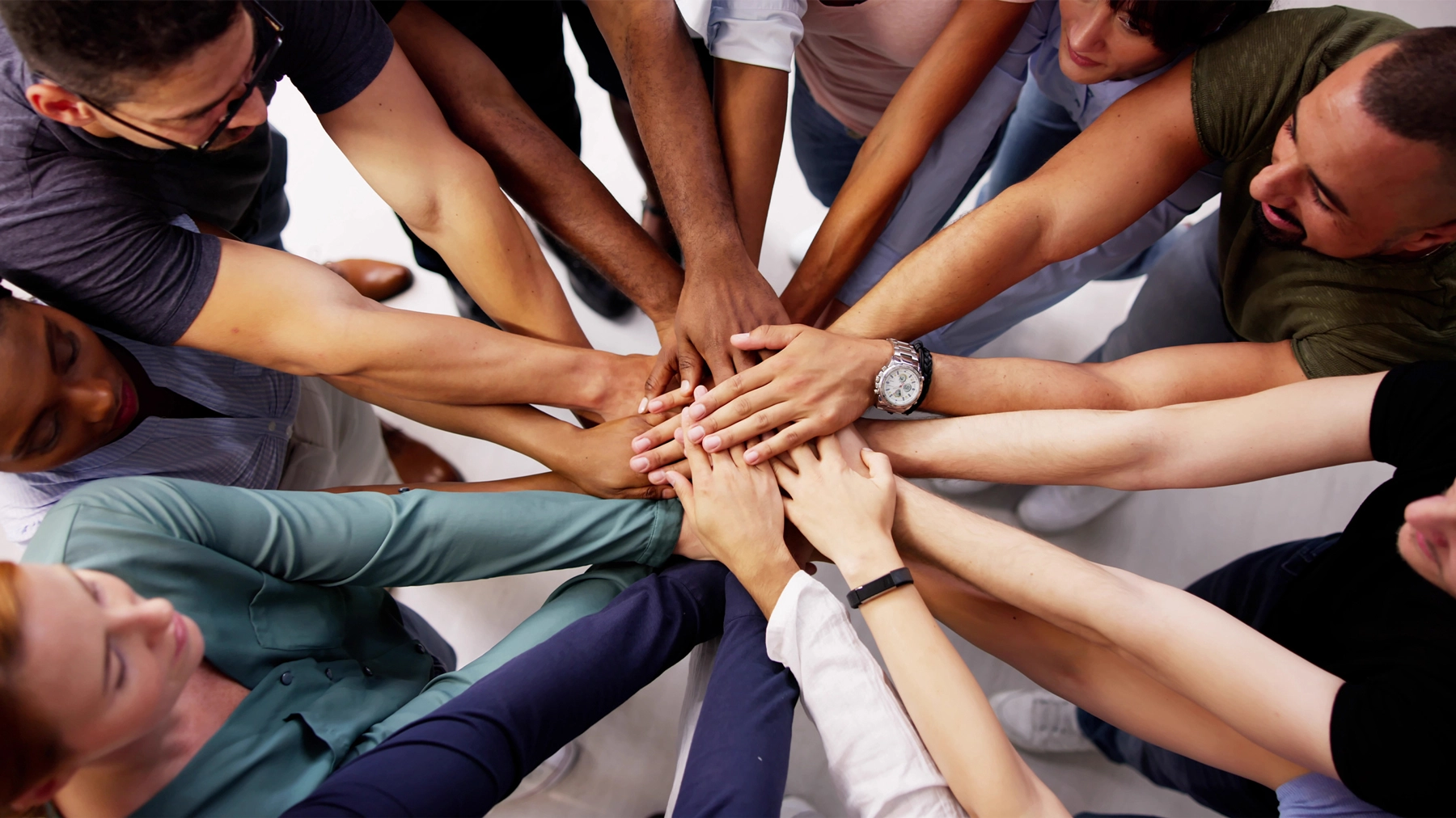 What is team Cohesion? 4 pillars to build high-performing teams - vaibe